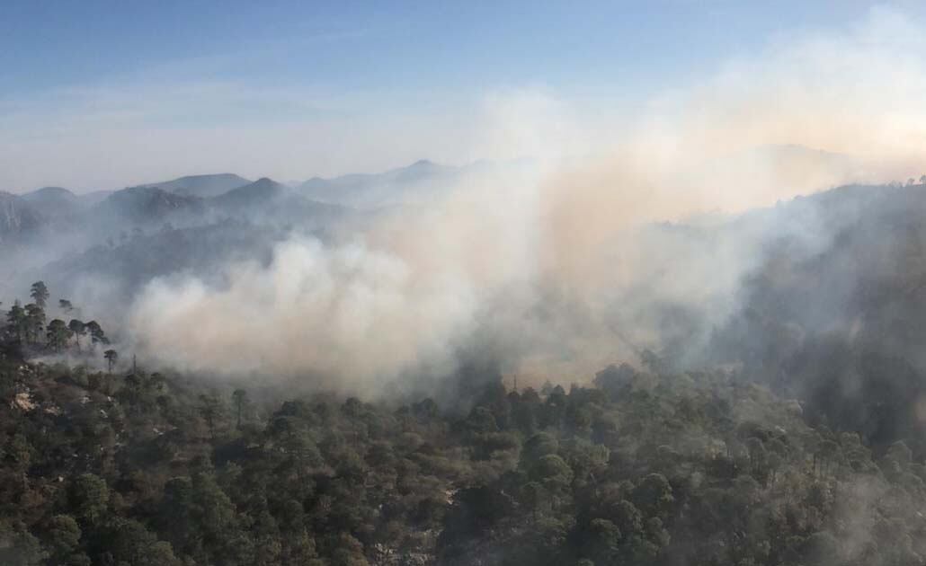 No se han encontrado animales calcinados en la sierra: Protección Civil