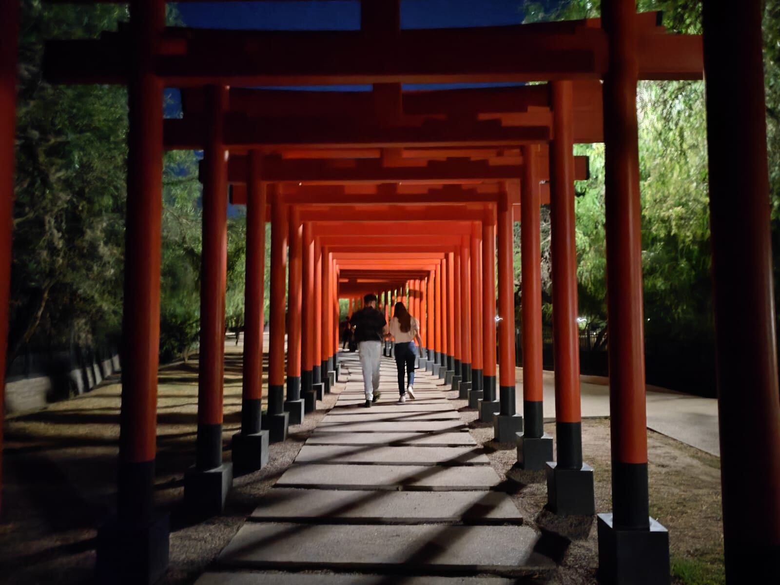 FOTOS: Así se ve de noche el Jardín Japonés del Parque Tangamanga de ...